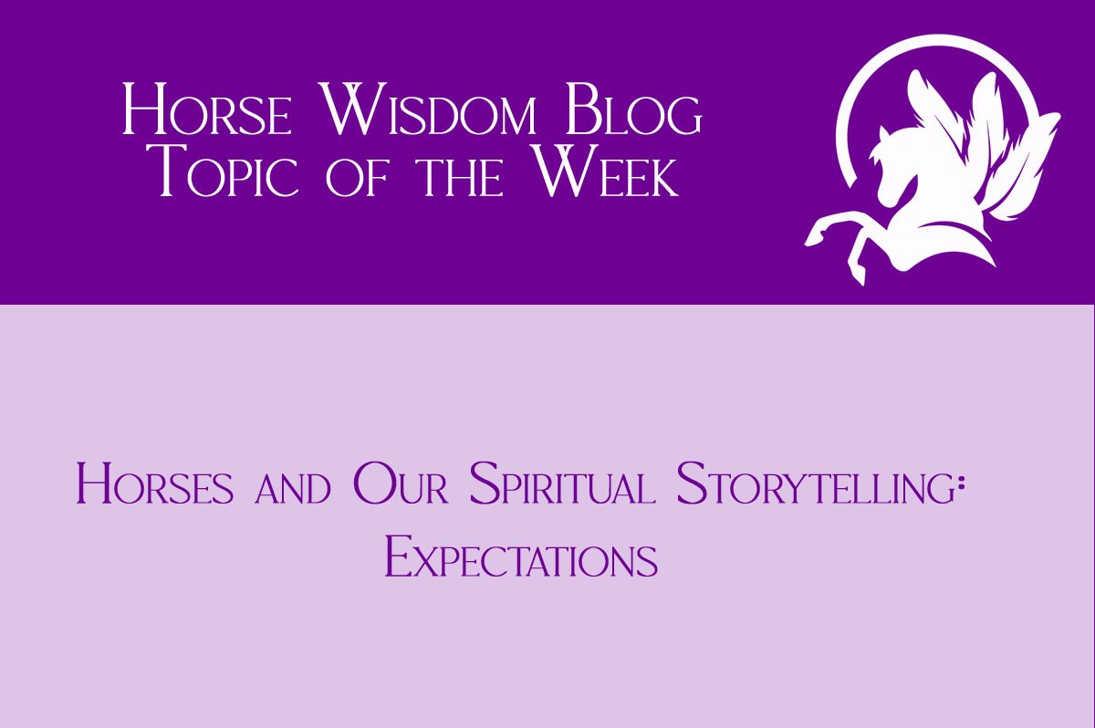 Horses and Spiritual Storytelling: Expectations – Feathermane Soul